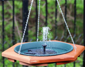 Water Products - Songbird Station:
