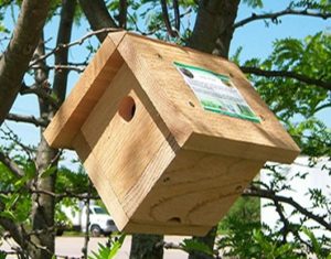 Wren & Chickadee Houses - Songbird Station: